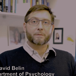 行为心理学与神经科学交叉专业课程：大脑奖惩机制对人类行为的影响